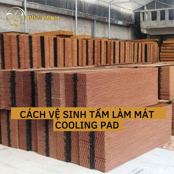 Cách vệ sinh tấm cooling pad đơn giản hiệu quả